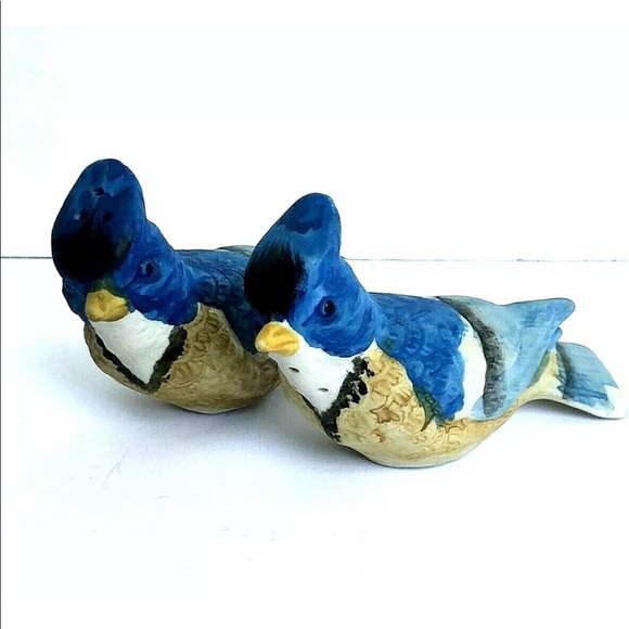 Kitchen | Ceramic Hand Painted Blue Jay Bird Salt Pepper Shaker Set Of ...